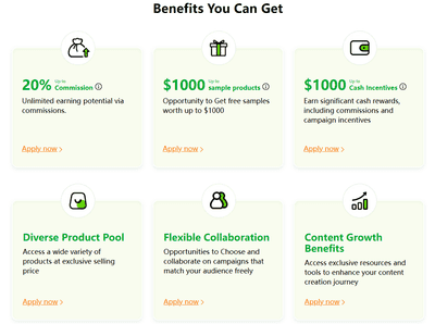 Explore the benefits of Temu's influencer program